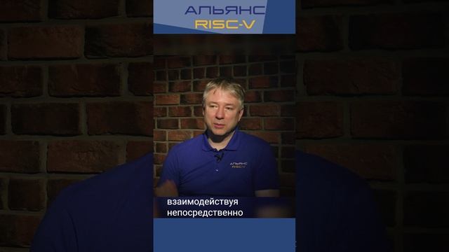 Евгений Максимов, Альянс RISC-V – вузы разработчики RISC-V