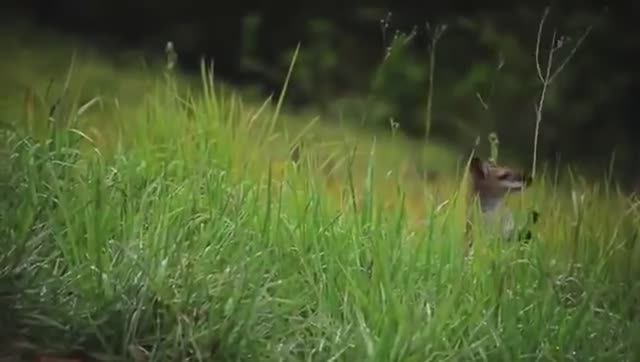 8 Невероятные жиры, __Барбара Онил