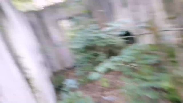 Исследуем заброшенные военные взлетные учения.