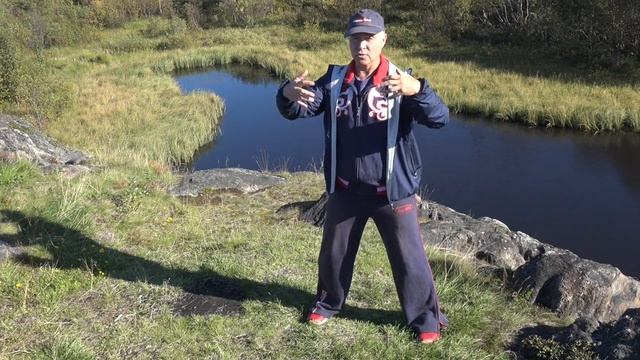 ШКОЛА ИЦЮАНЬ-2 /.Ченбао Чжуан (Обхватывающий столб) / Как стоять в столбе / 3 базовых принципа