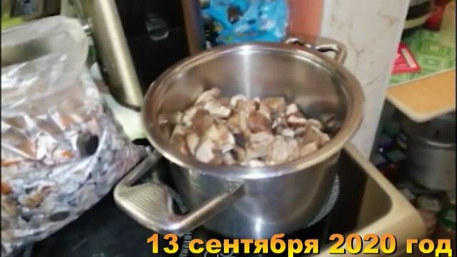 Грибной рай. Что делаю с грибами дома и на заготовки. Хроника 13 сентября 2020 год