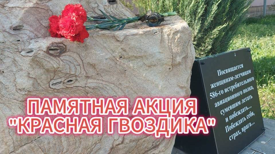 Красная гвоздика_Летчица Клава Нечаева