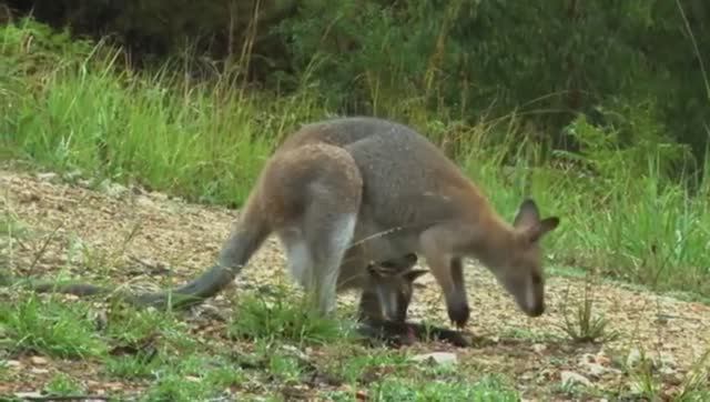 9 Упражнения которые работают__Барбара Онил