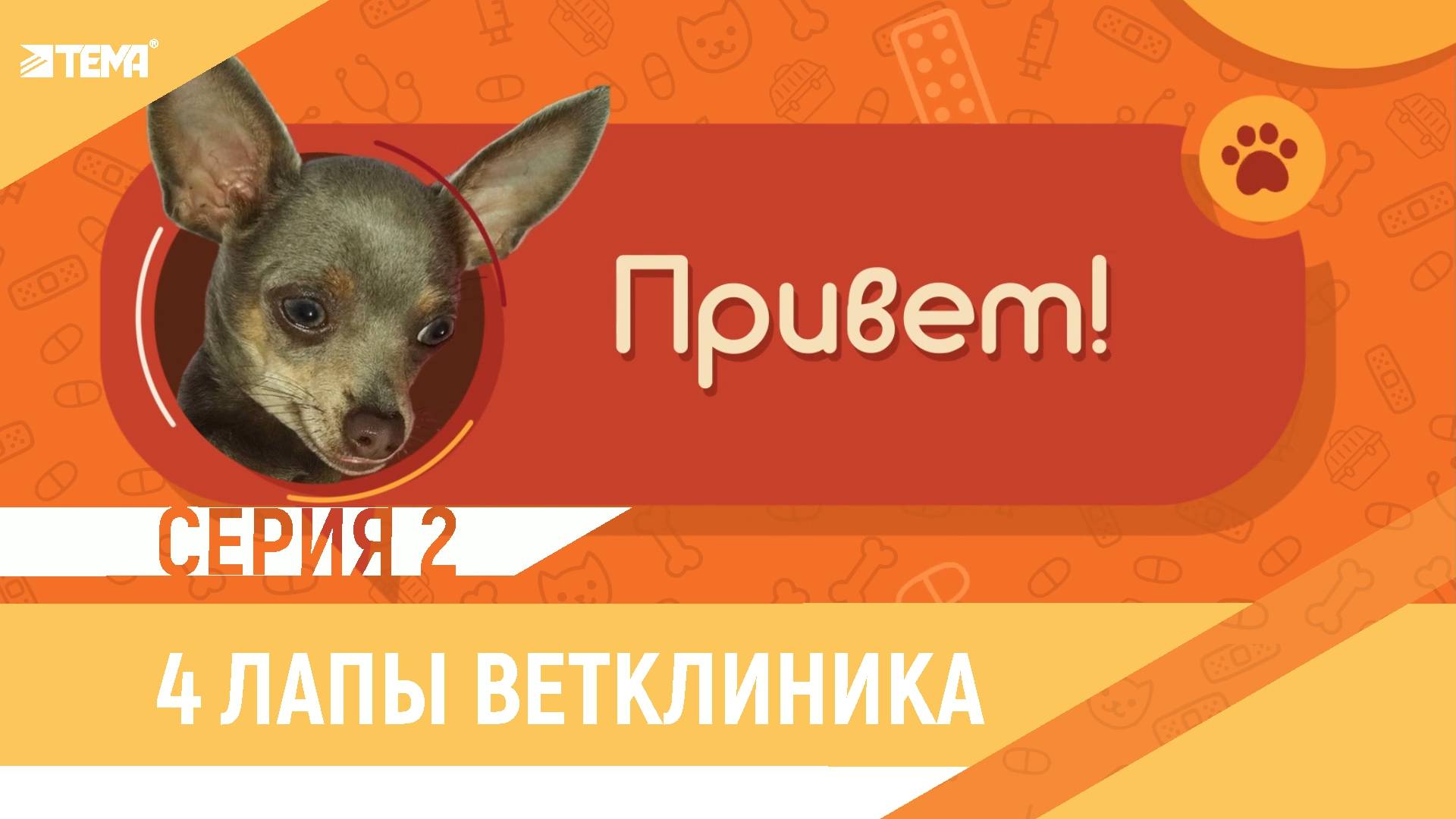 Милый ролик с трогательными животными