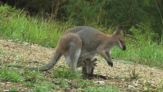 12 Законы разума,__ Барбара Онил