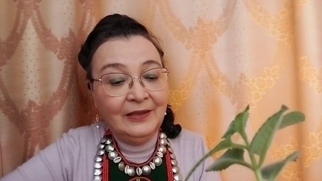 Лилиә Ҡәйепова - Геүләй генә оло урам