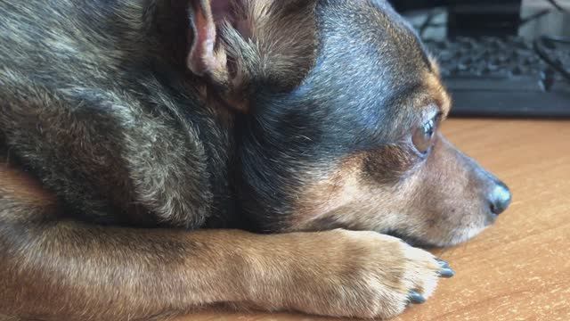 Всем хорошего дня