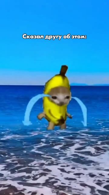 Когда понял, что до ЕГЭ осталось меньше полугода ТГ: globalee_rus Запись на Курс по Русскому Языку!