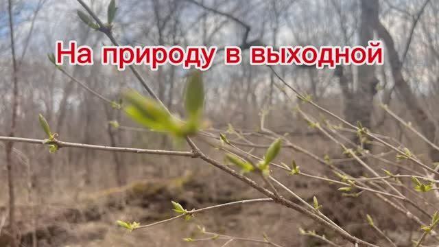 Просто красота русской природы и ничего лишнего