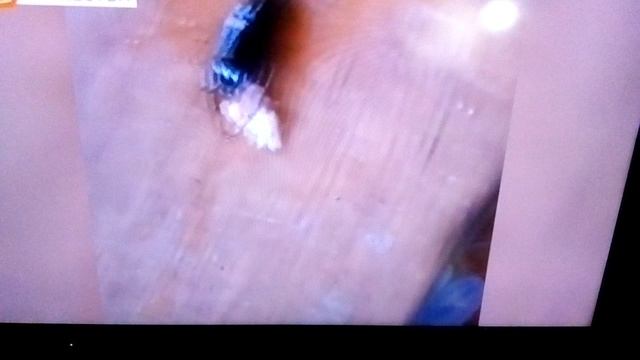 Рыбные консервы.