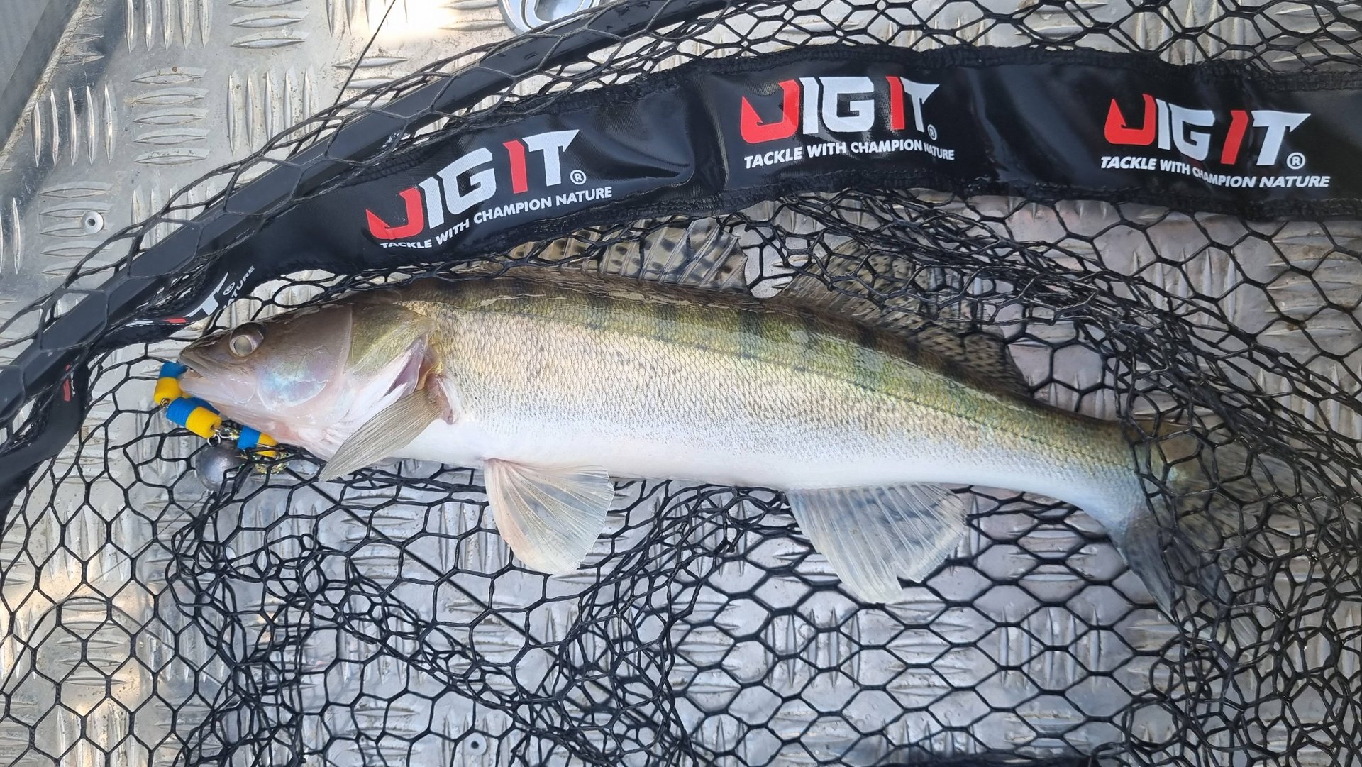 Рыбалка с лодки. Сильный ветер. Электро мотор sea pro. Весна радует поклевками!