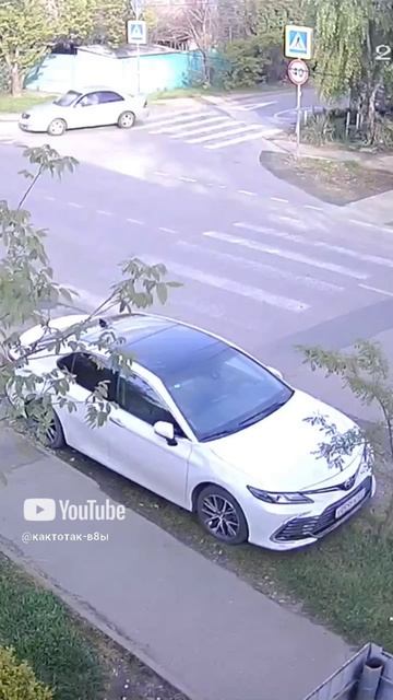 ***Мастер парковки***