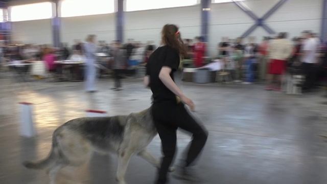 Русская Легенда Огненная Птица