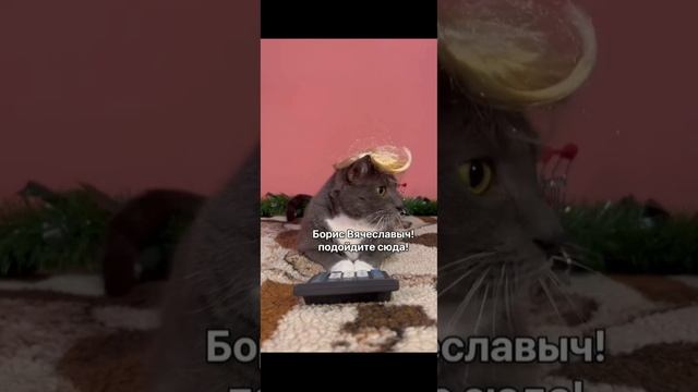 Озвучка