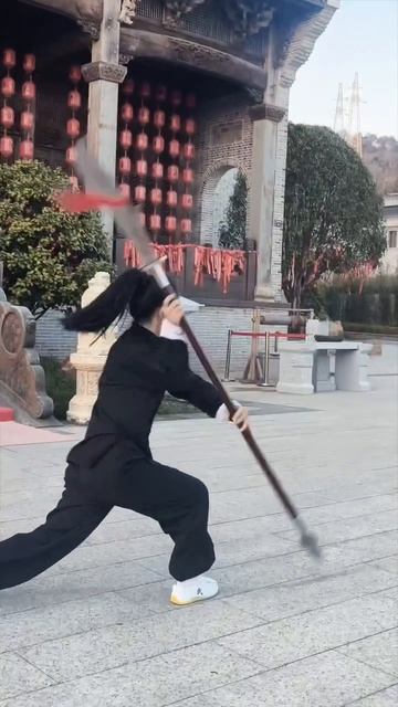 Боевые искуства Китая (294)