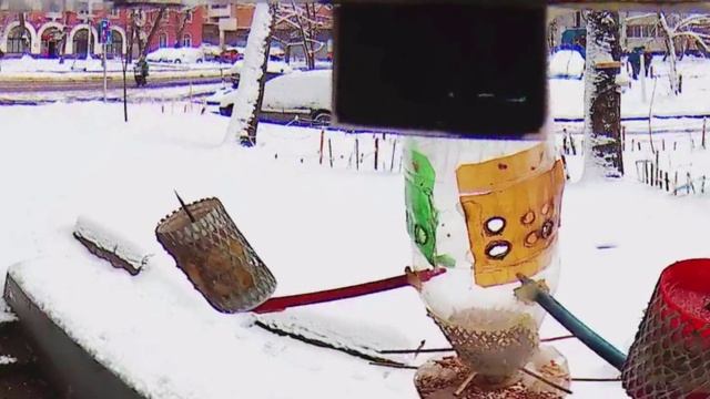 Под окном 2025 апр 08 - 10 спецподразделение по поиску зимних трюфелей