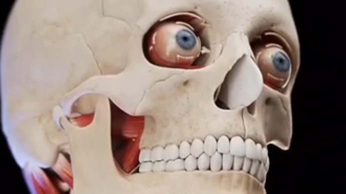 Мышцы и Кости ЧЕРЕПА...💀(3D-анимация)