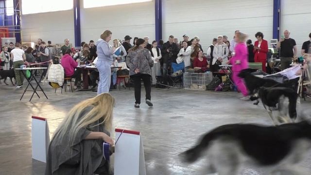 Открытый класс