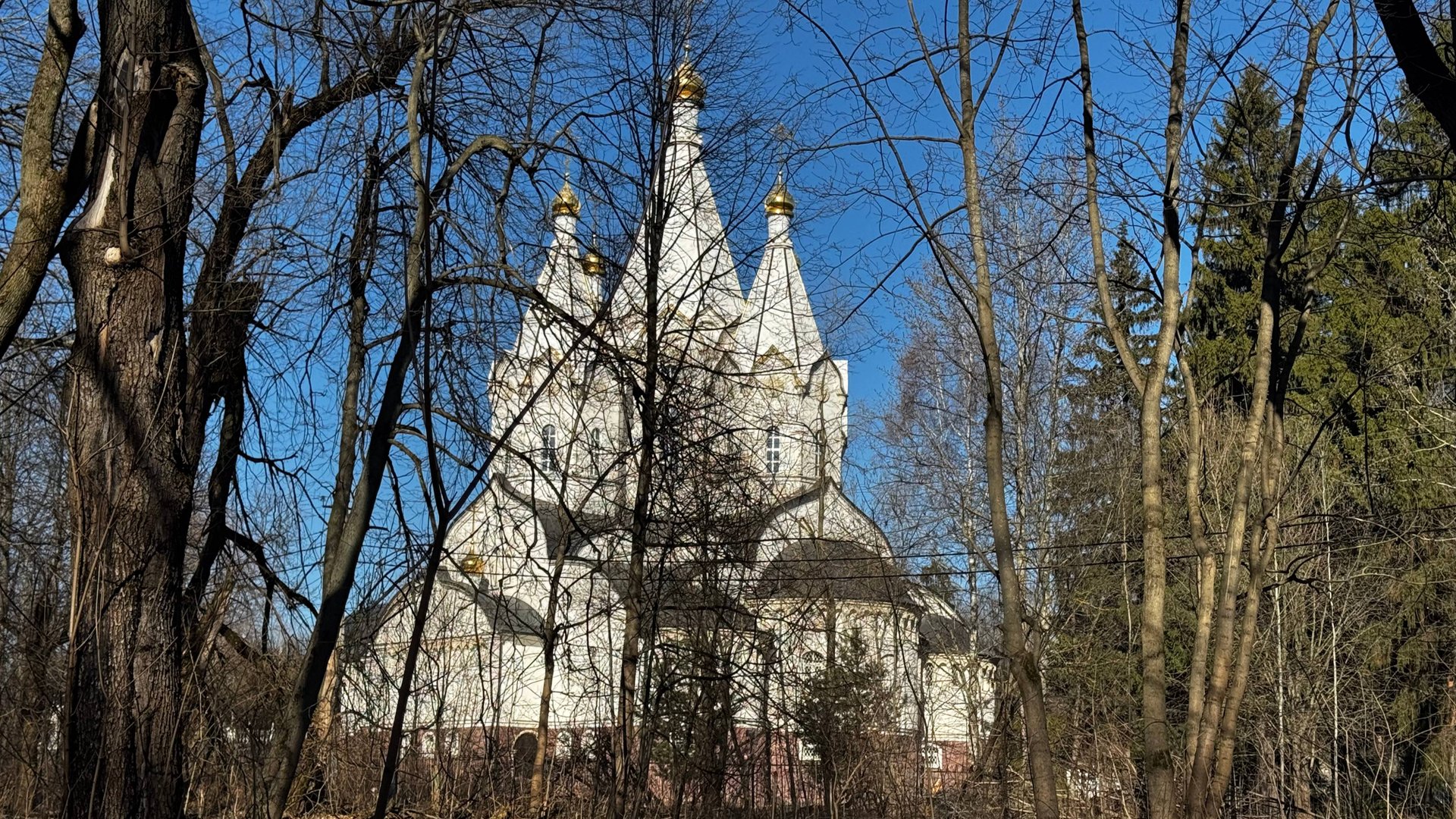 ИСЦЕЛЕНИЕ ЗВУКОМ. СЛУШАЙТЕ КОЛОКОЛА - ИЗБАВЬТЕСЬ ОТ ВИРУСОВ И БАКТЕРИЙ.