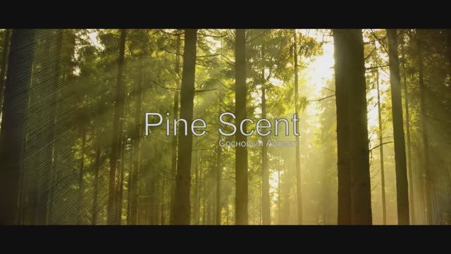 ROGMUSIC (Александр Рогозин) - Сосновый Аромат