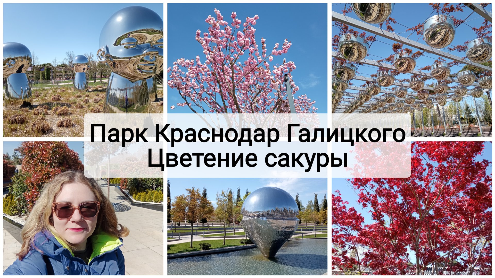 Парк Краснодар Галицкого Цветение сакуры