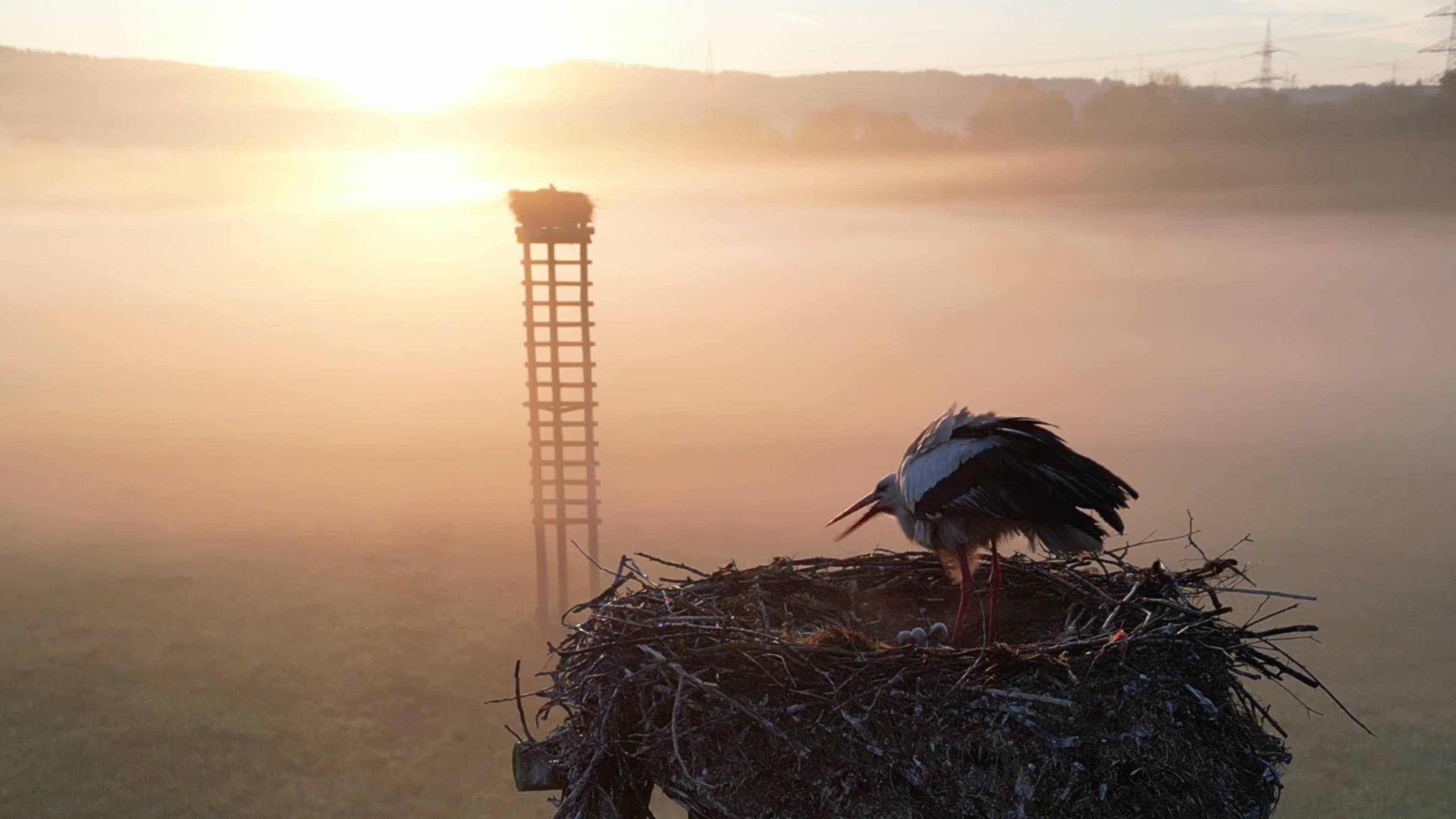 воскресное утро или на пасхальном завтраке :)