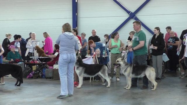 Сравнение на ЛС