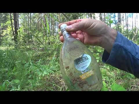 ЧЕГО ТОЛЬКО НЕ НАЙДЁШЬ В ЛЕСУ!