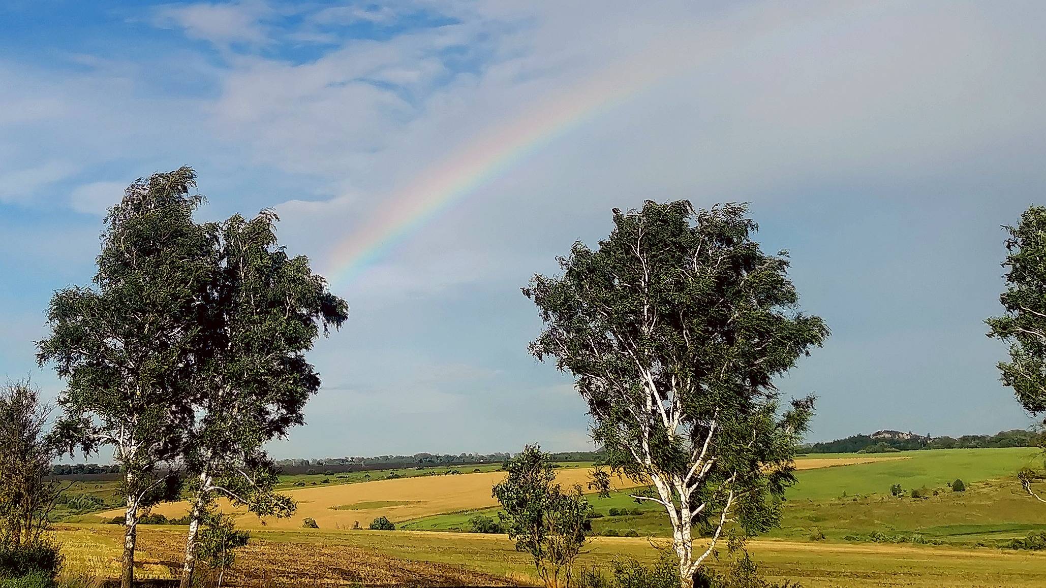 ИСЦЕЛЕНИЕ ЗВУКОМ. ЦЕЛЕБНЫЙ шум ДОЖДЯ для ХОРОШЕГО СНА.