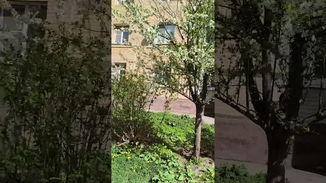 Весна пришла