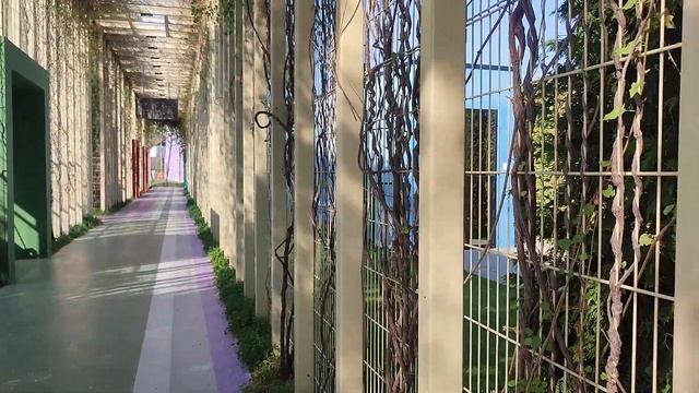 2023 17 Краснодар