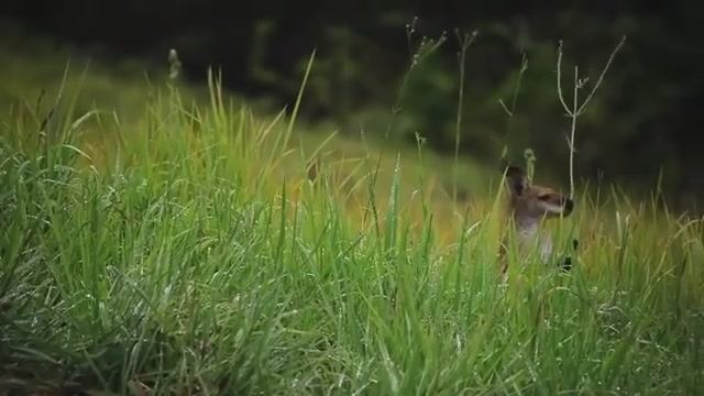 10_Важная роль воды и соли,_Барбара Онил