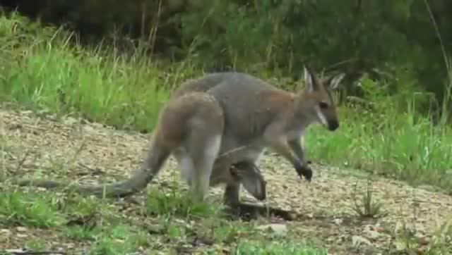 7 Кислотно щелочной баланс,_Барбара Онил