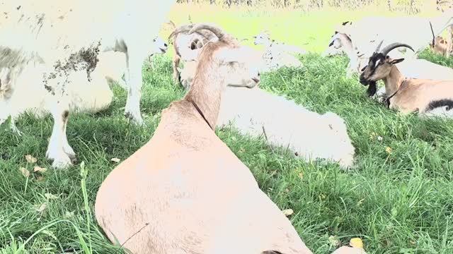 Можно отдохнуть в тенечке