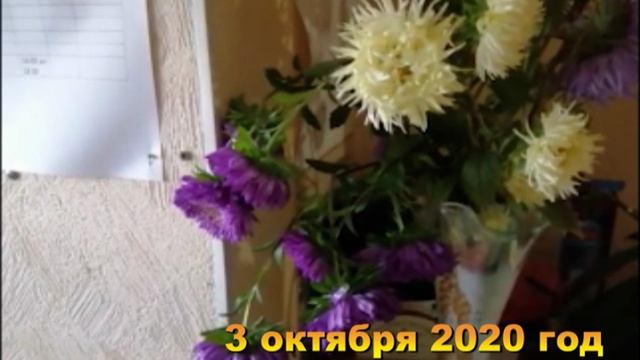 Еще немного урожая с огорода. Хроника 3 октября 2020 год