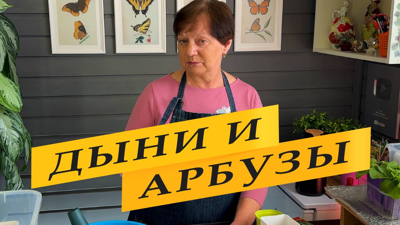 Арбузы и дыни на рассаду для теплицы.