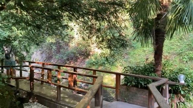 Путешествие по Абхазии. Сухум и Черниговка