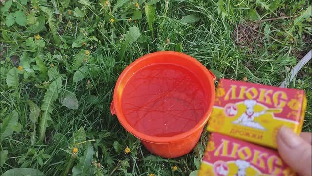 Отличное удобрение без химии для быстрого роста  овощей,ягод! Рекомендую!