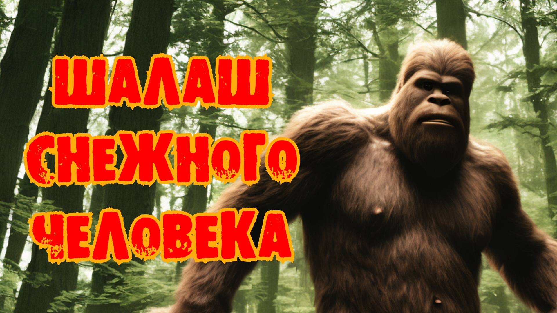 Шалаш снежного человека в Ленинградской области