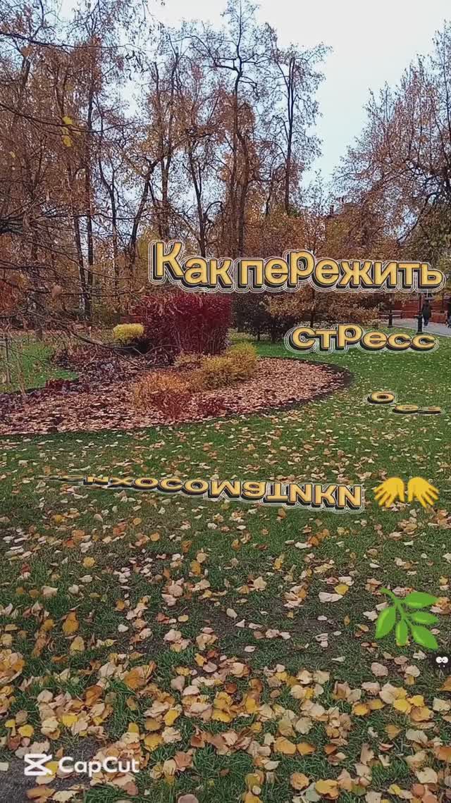 Как пережить стресс без психосоматики? Смотри в описании видео.