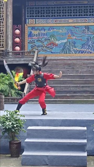 Боевые искуства Китая (288)