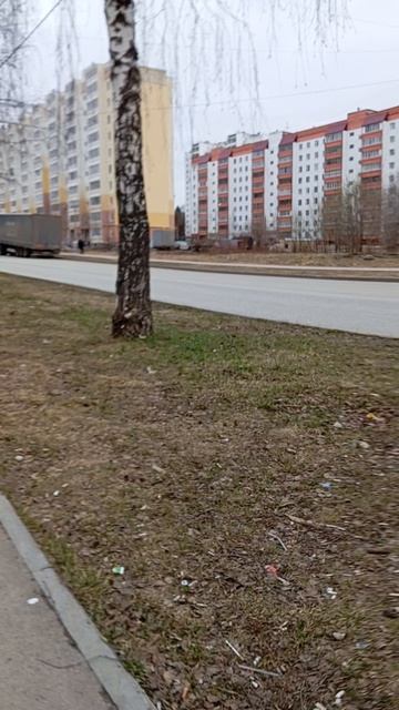 Серёжа дебильный