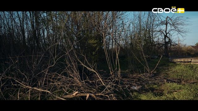 Выводы следствия. Страшный подарок