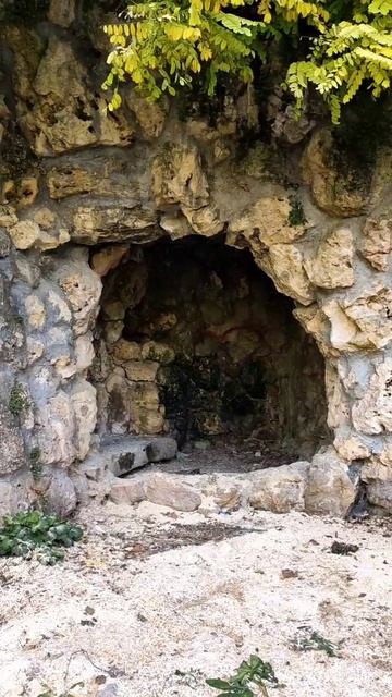 Максимова дача, Севастополь. Крым.