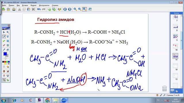 Задание 33 с амидами ЕГЭ химия