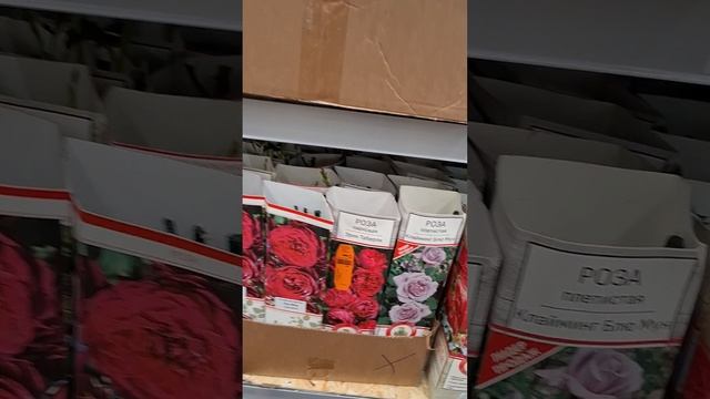 Пробежала по "Оби"😅, г. Краснодар, ул. Крылатая, 2