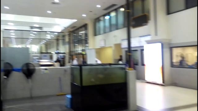 Рыбный рынок Шарджа Эмираты