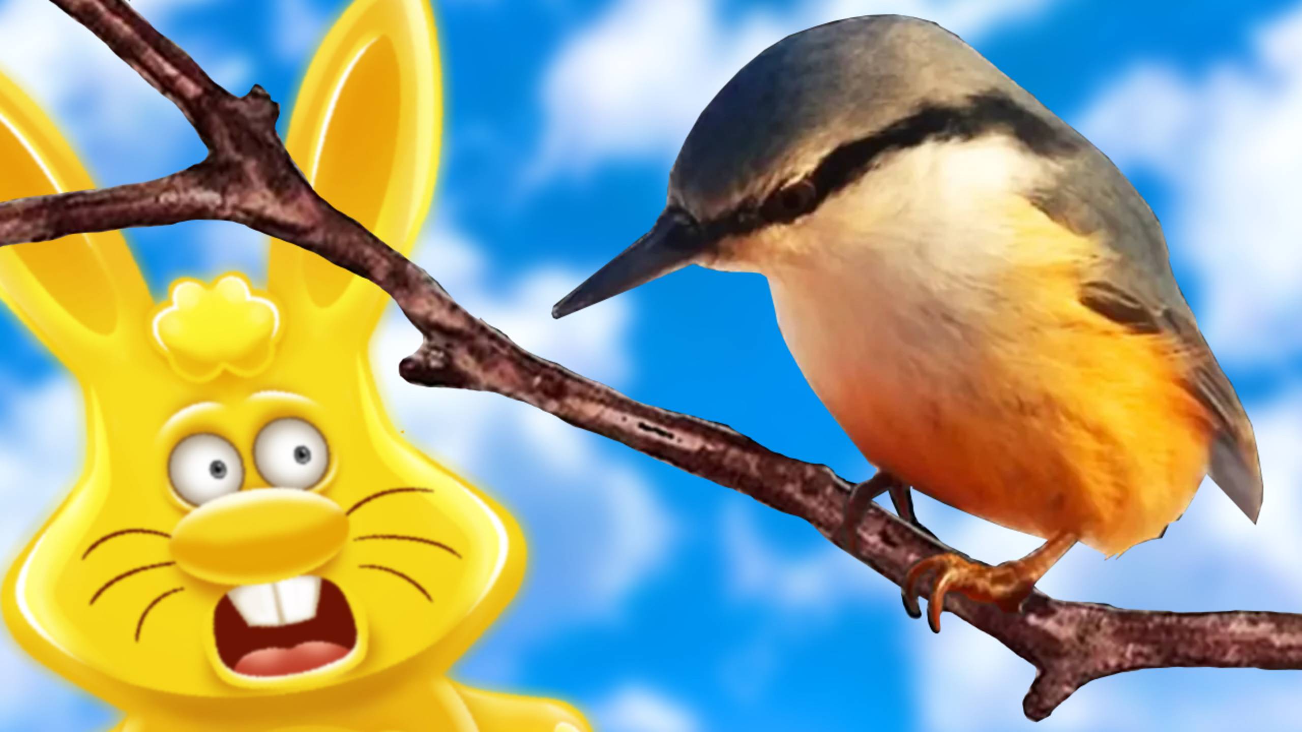 Маленький пернатый воришка.