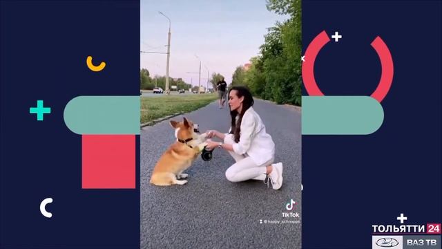 «Ни слова больше» TikTok челлендж 23.11.2021