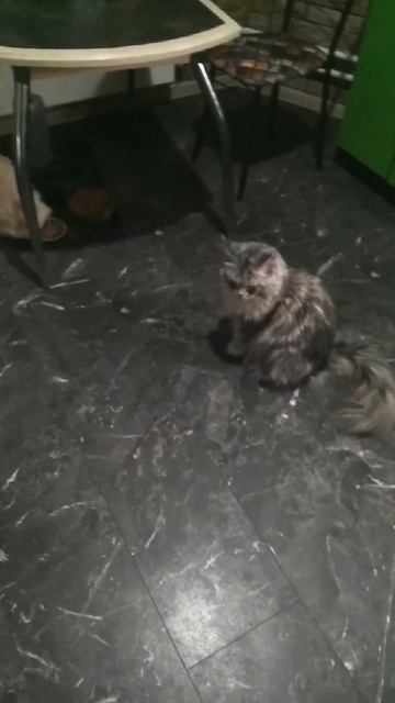 Вот это воспитание!!!!